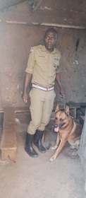 Tororo: Police Arrest Suspect in Murder of Kenyan Woman After K-9 Track ...